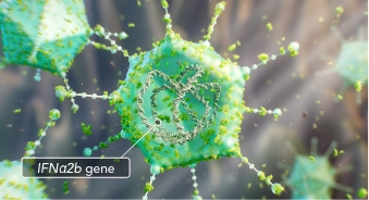 Mechanism of Action | ADSTILADRIN® (nadofaragene firadenovec-vncg)